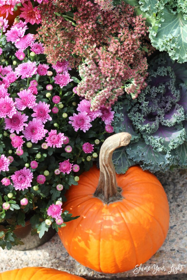 21 Beautiful Outdoor Fall Decorating Ideas To Inspire You!